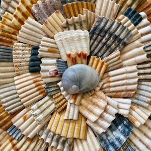 Shell and Stone Sea Turtle Wall Hanging - Etsy