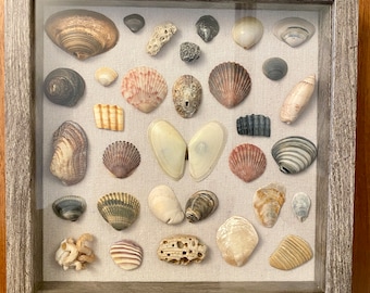 Starfish Shadow Box Shell Art - Etsy