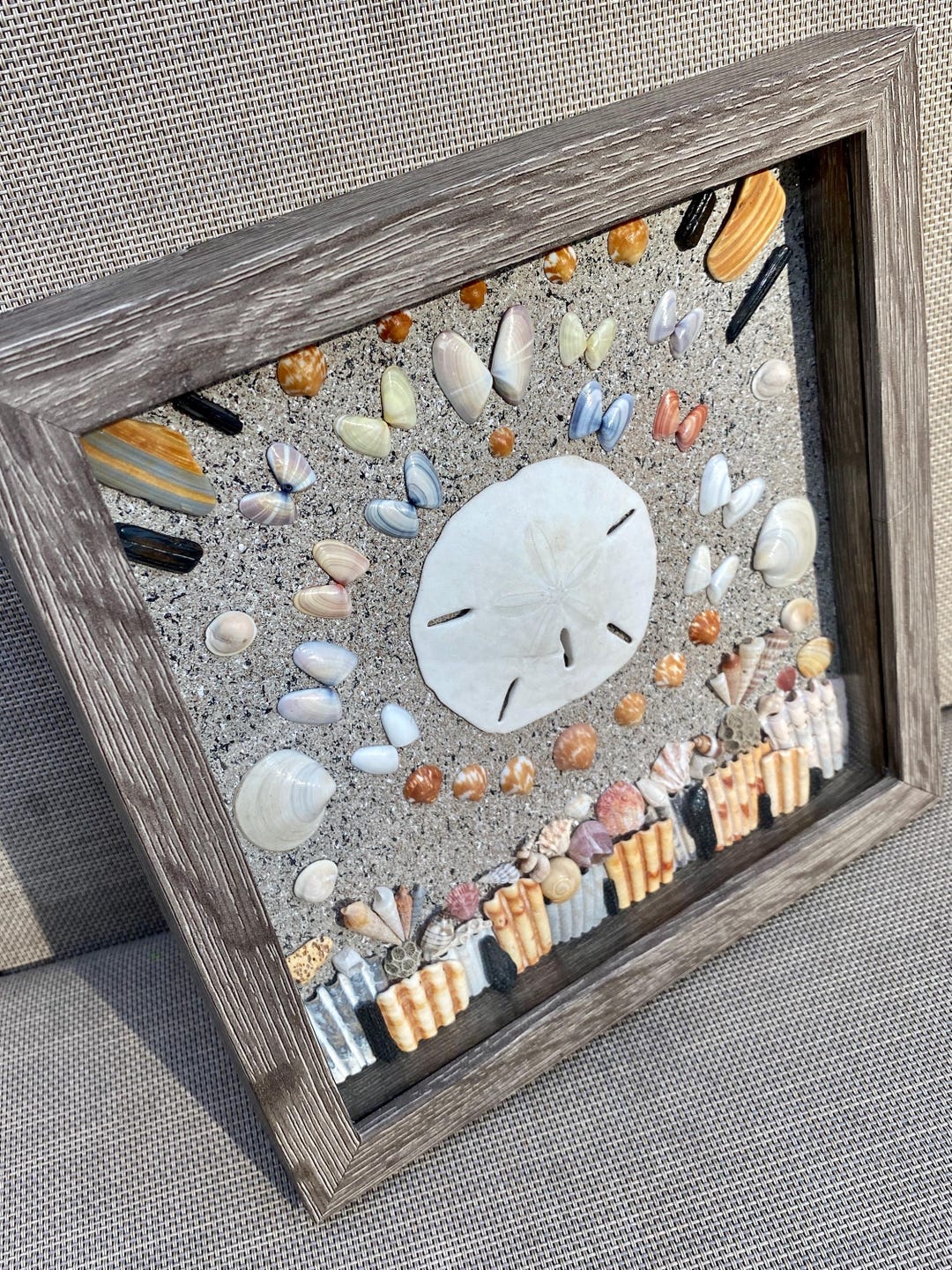 Coastal Sand Dollar Shadow Box Shell Art - Etsy