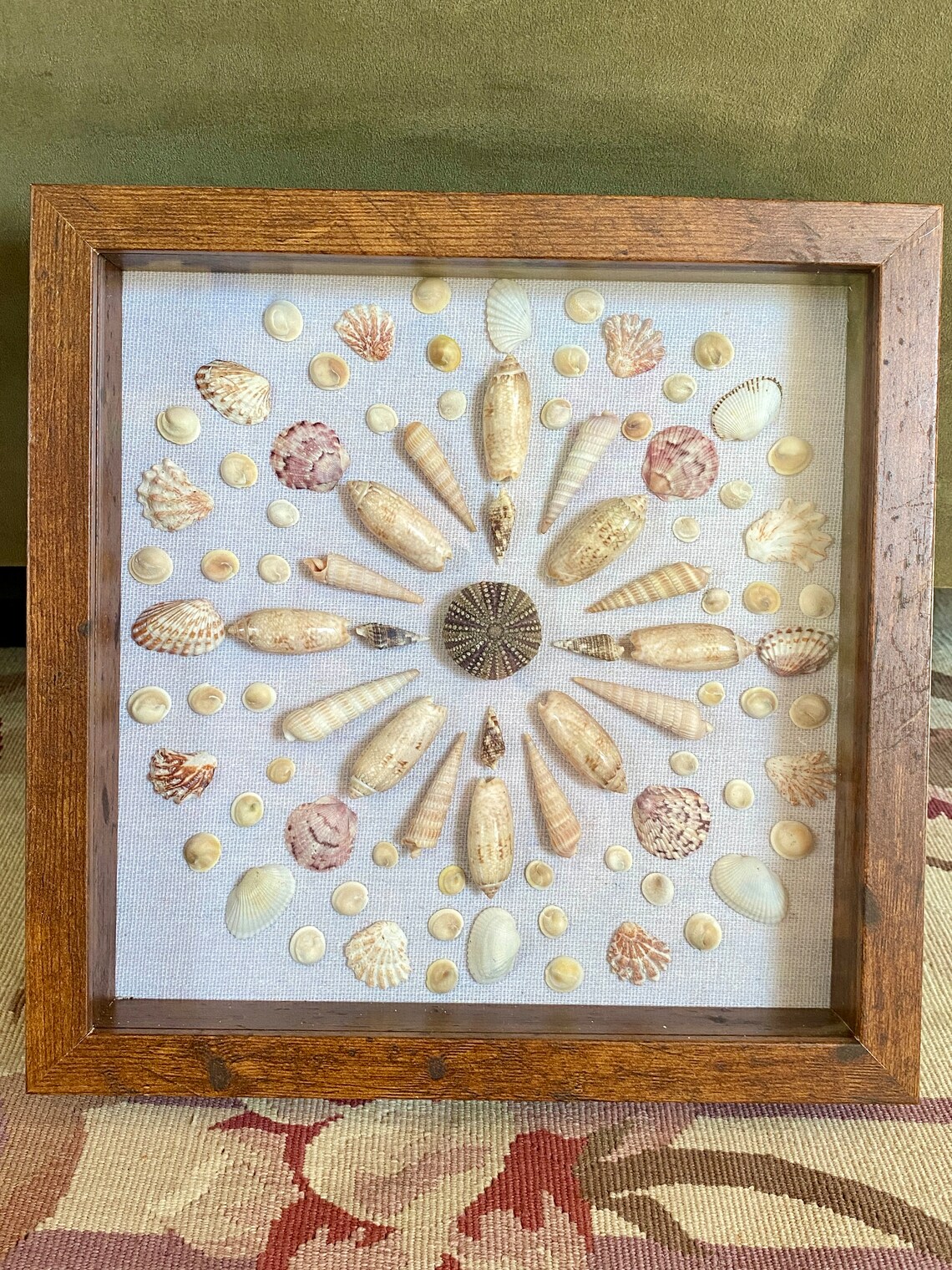 Shell Art Shadow Box - Etsy