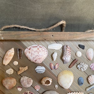 Sea Shell Wall Hanging - Etsy