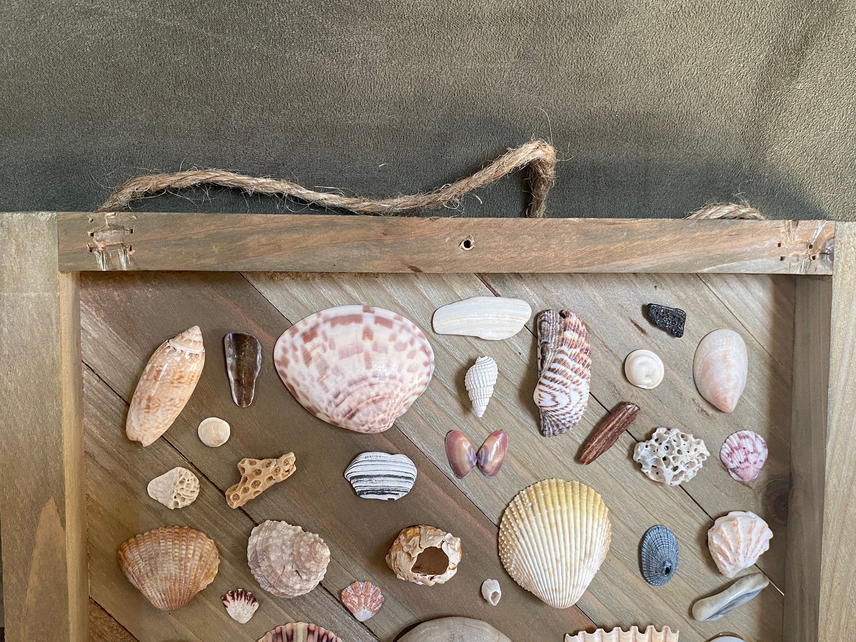 Sea Shell Wall Hanging - Etsy
