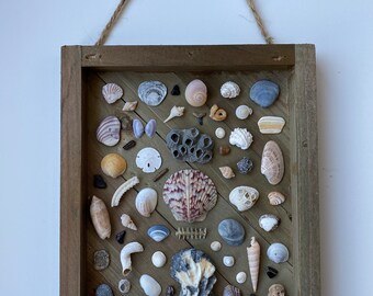 Sea Shell Wall Hanging - Etsy