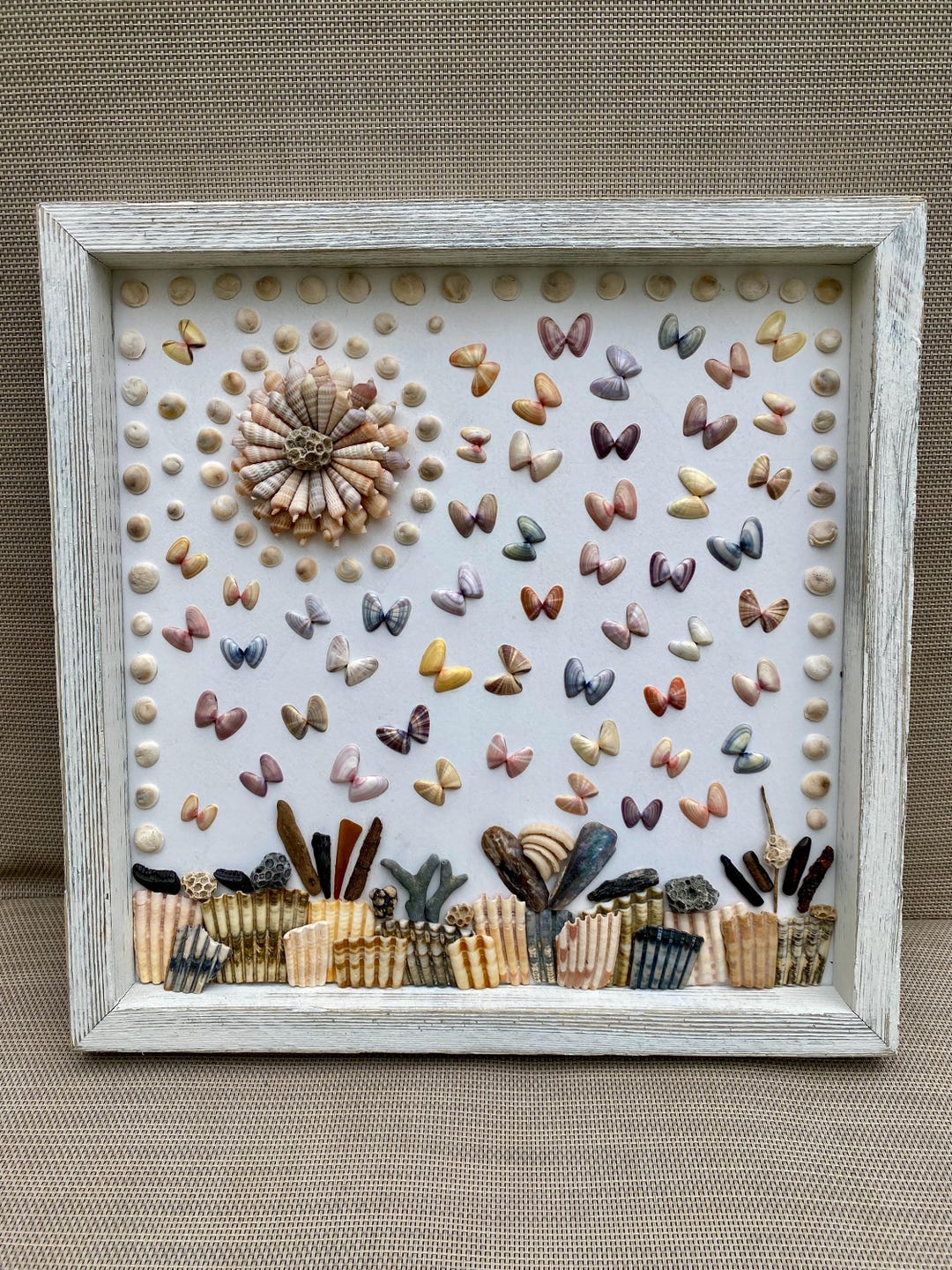 Coquina Shadow Box Shell Art - Etsy