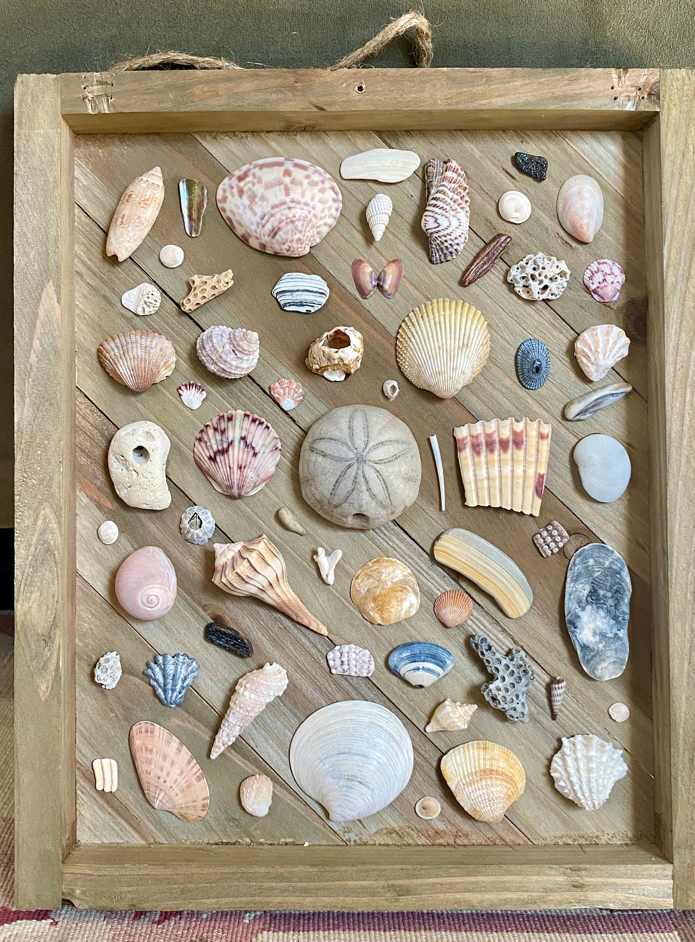 Sea Shell Wall Hanging - Etsy