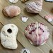 Sea Shell Wall Hanging - Etsy