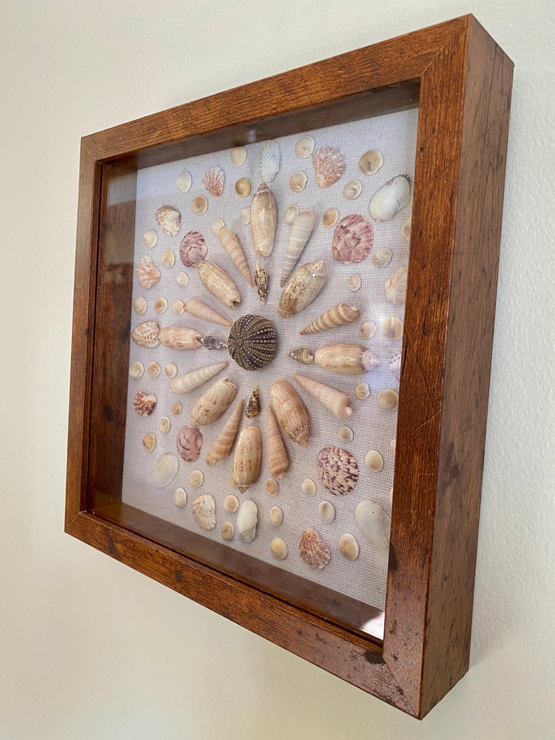Shell Art Shadow Box - Etsy