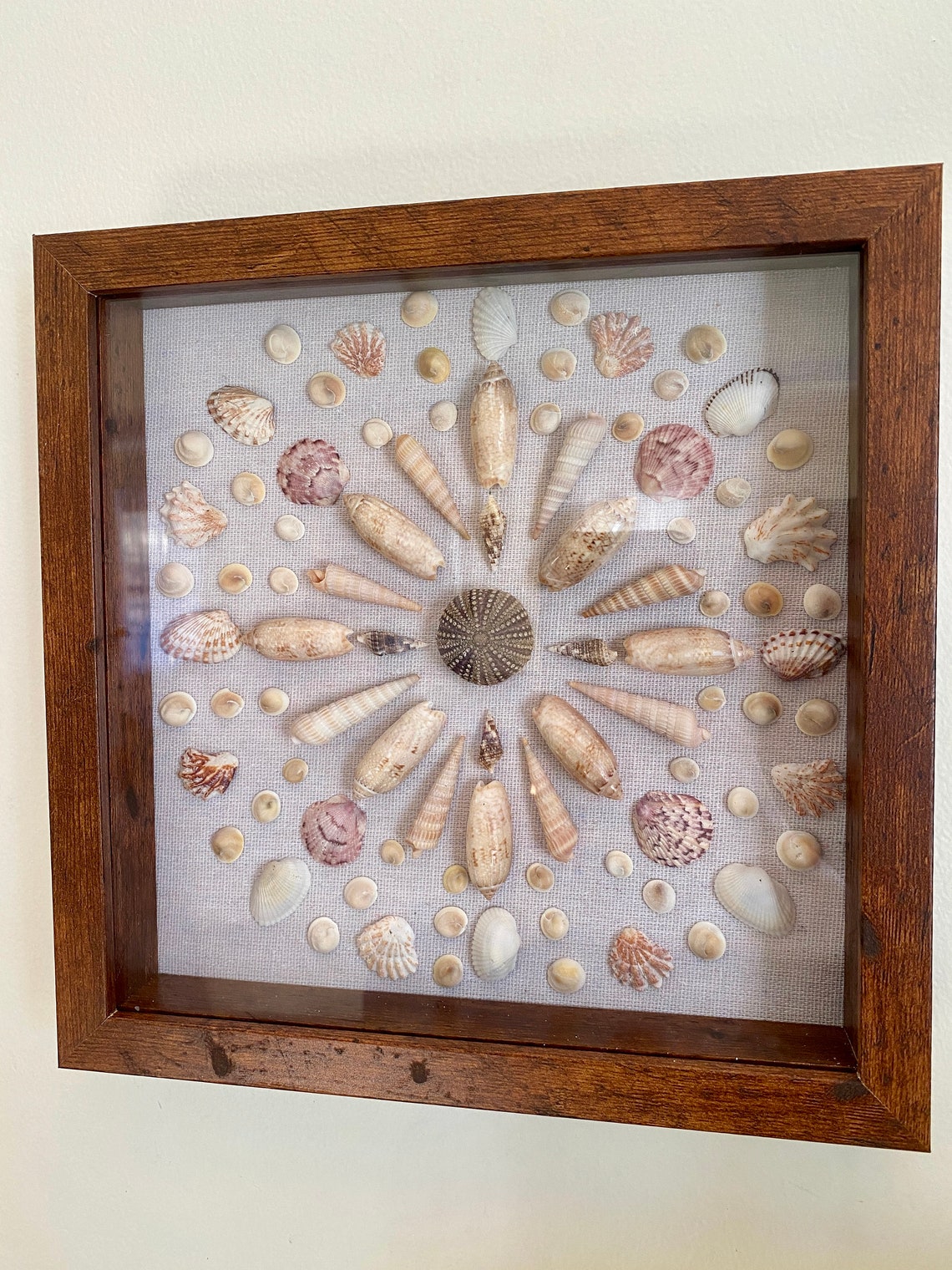 Shell Art Shadow Box - Etsy