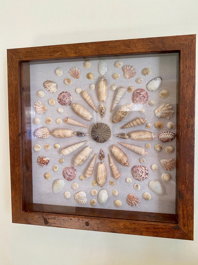 Shell Art Shadow Box - Etsy