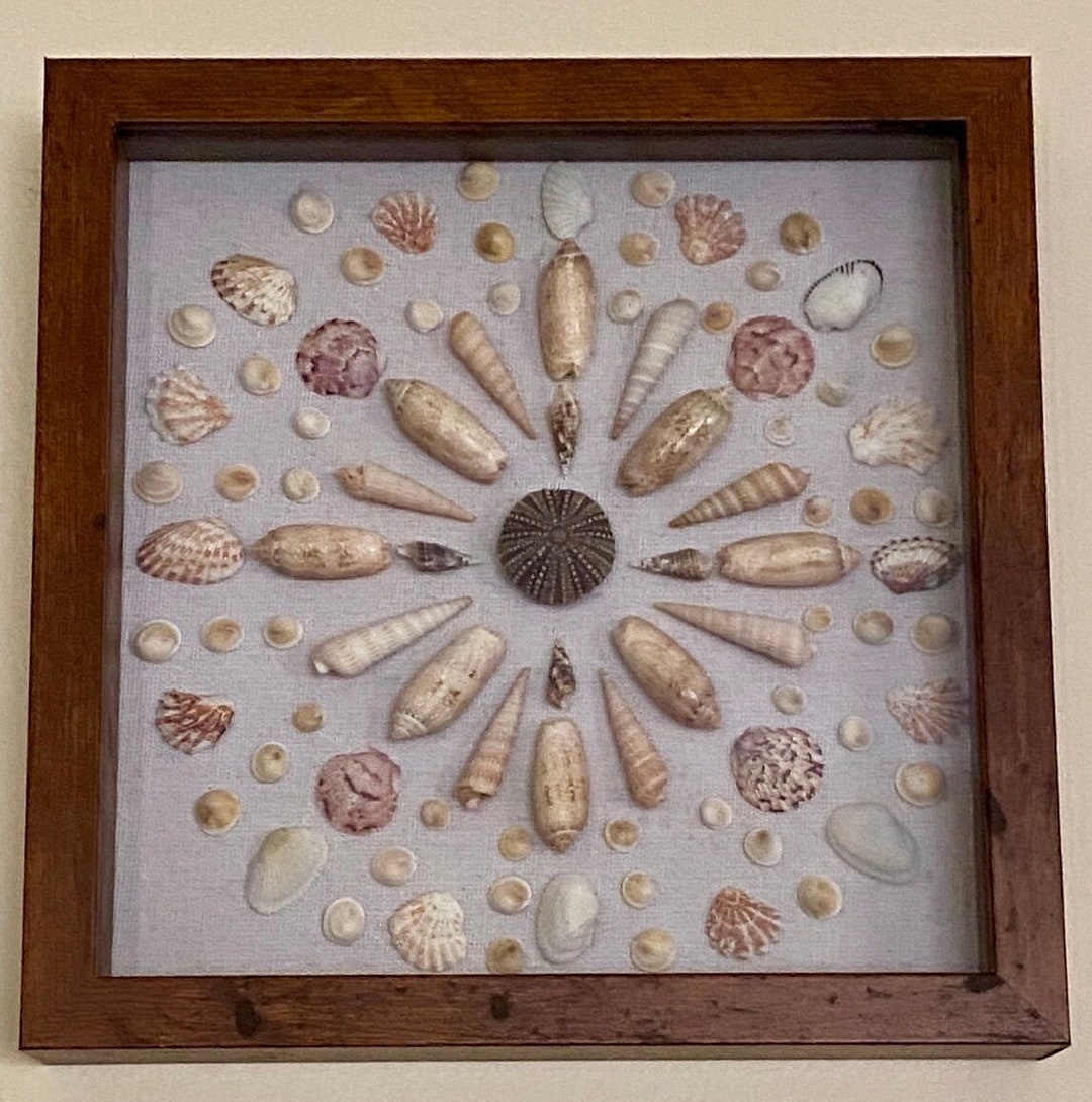 Shell Art Shadow Box - Etsy