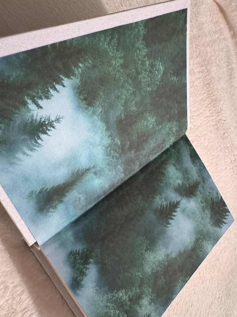 The Twilight Saga Book Set, Stephenie Meyer, Special Edition, Handmade ...
