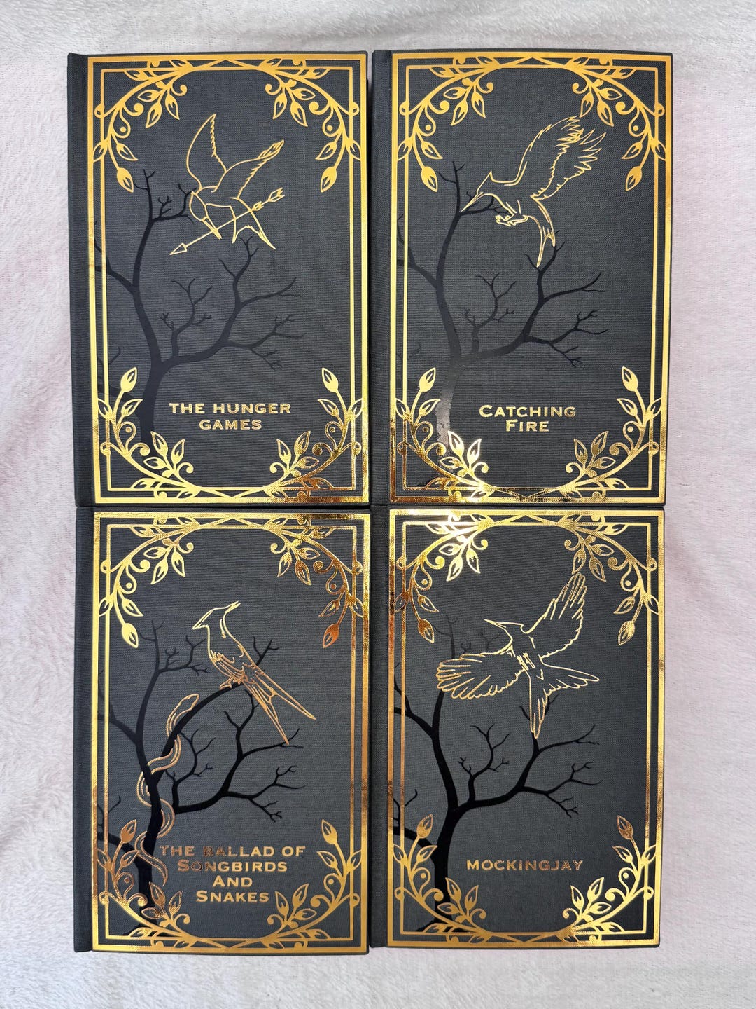 The Hunger Games Book Set by Suzanne Collins, Special Edition, Handmade ...