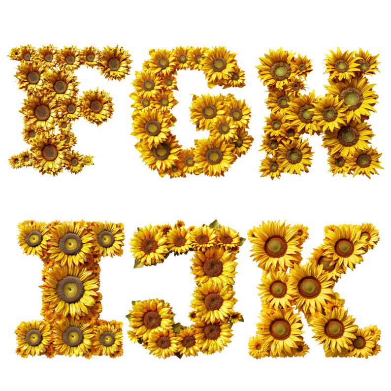 Sunflower Alphabet PNG Clipart: Yellow Floral Font (digital Download - Etsy