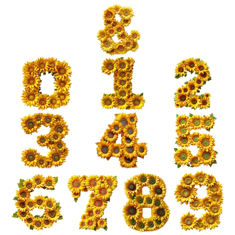 Sunflower Alphabet PNG Clipart: Yellow Floral Font (digital Download - Etsy