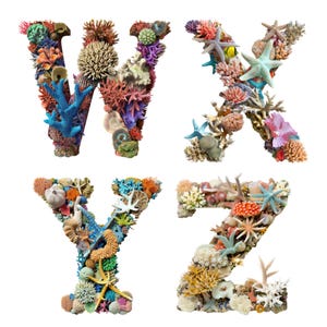 Coralpha Ocean Coral Alphabet PNG Letters and Numbers for Beach Coastal ...