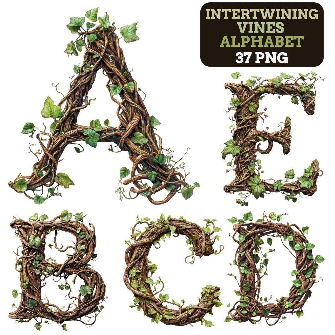 Botanical Alphabet PNG: Intertwining Vines, Leafy Font (digital ...