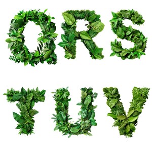 Green Leaf Botanical Alphabet Clipart Set: Eco Nature Font (PNG ...