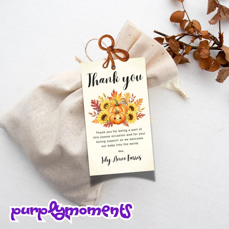 Pumpkin Baby Shower Invitation Bundle, Fall Autumn Evite Editable ...