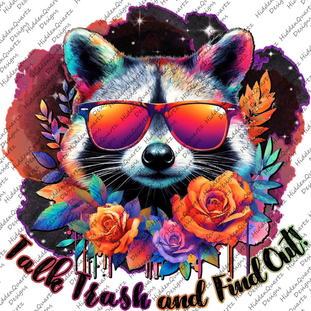 Raccoon Talk Trash PNG, Raccoon Sublimation Designs, Raccoon Digital ...