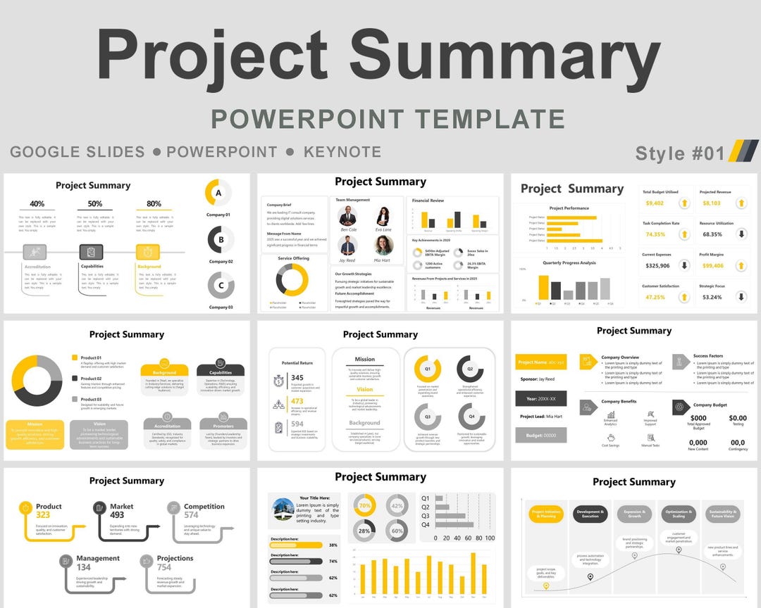 Project Summary Powerpoint Template, Project Summary Report, Executive ...