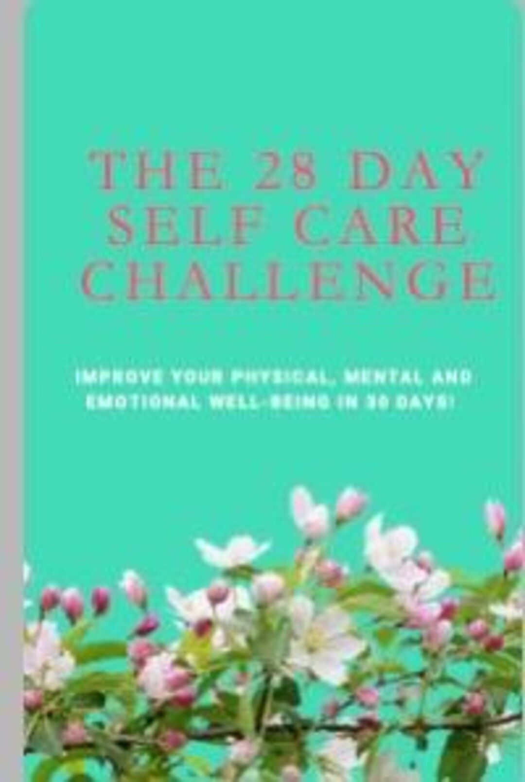28 Day Self Care Challenge E Book - Etsy