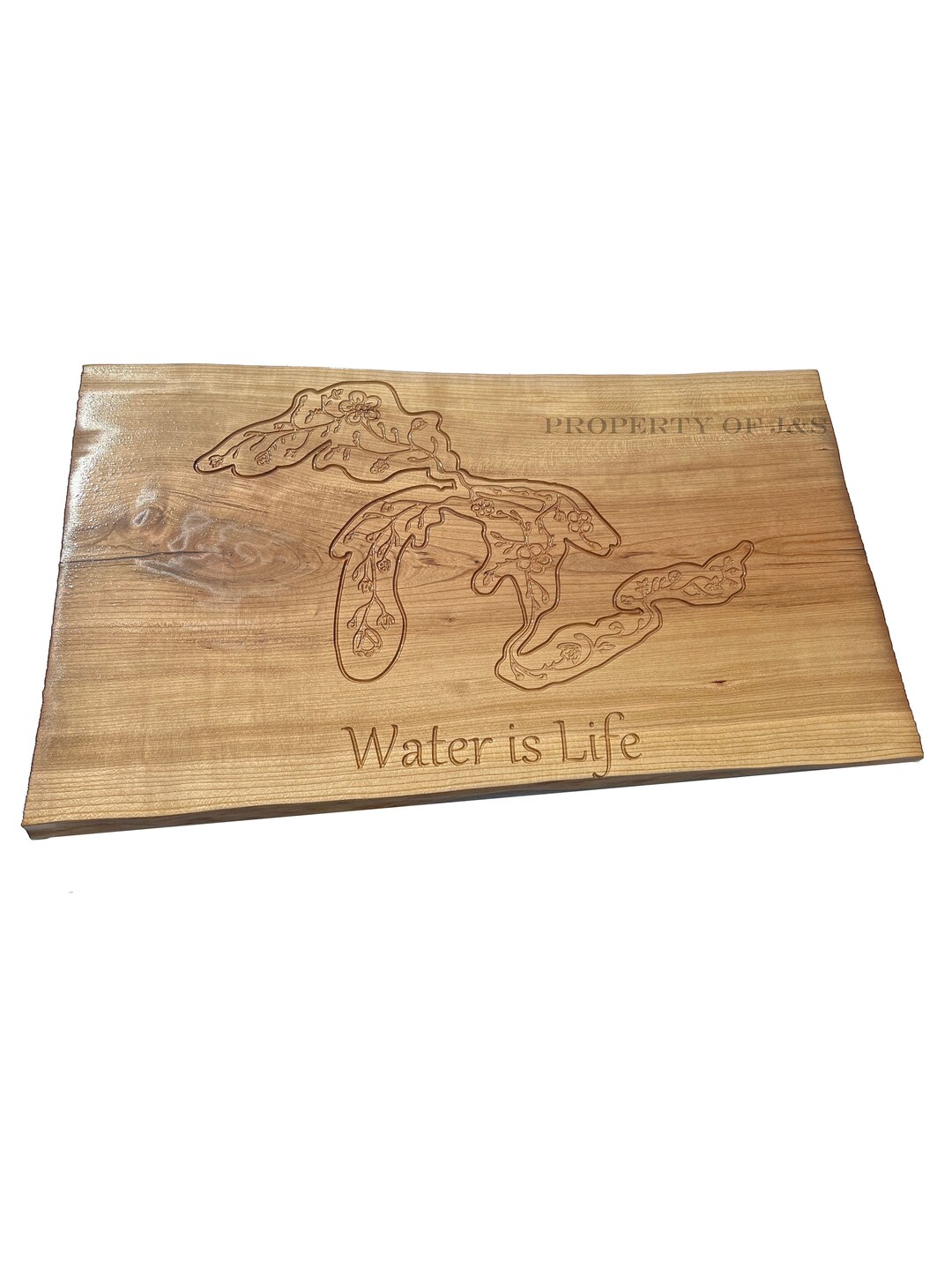 Water is Life Sign - Etsy