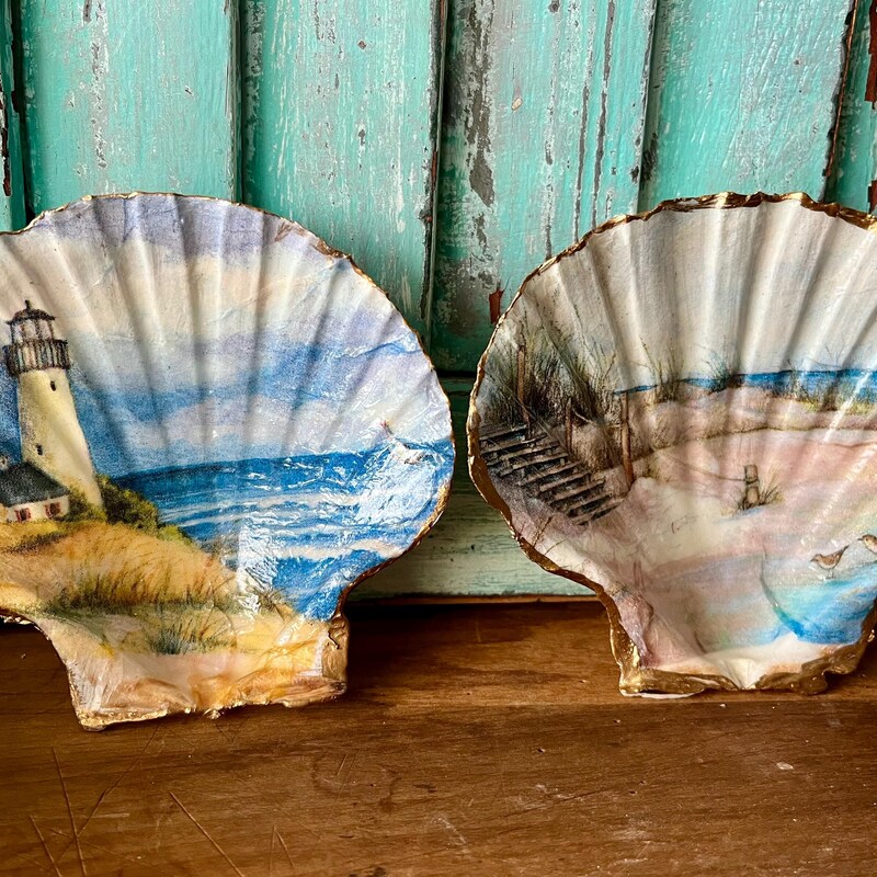 Painted Clam Shell - Etsy