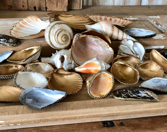 30 Gilded Sea Shells Assortment of Found Shells Painted With Liquid ...