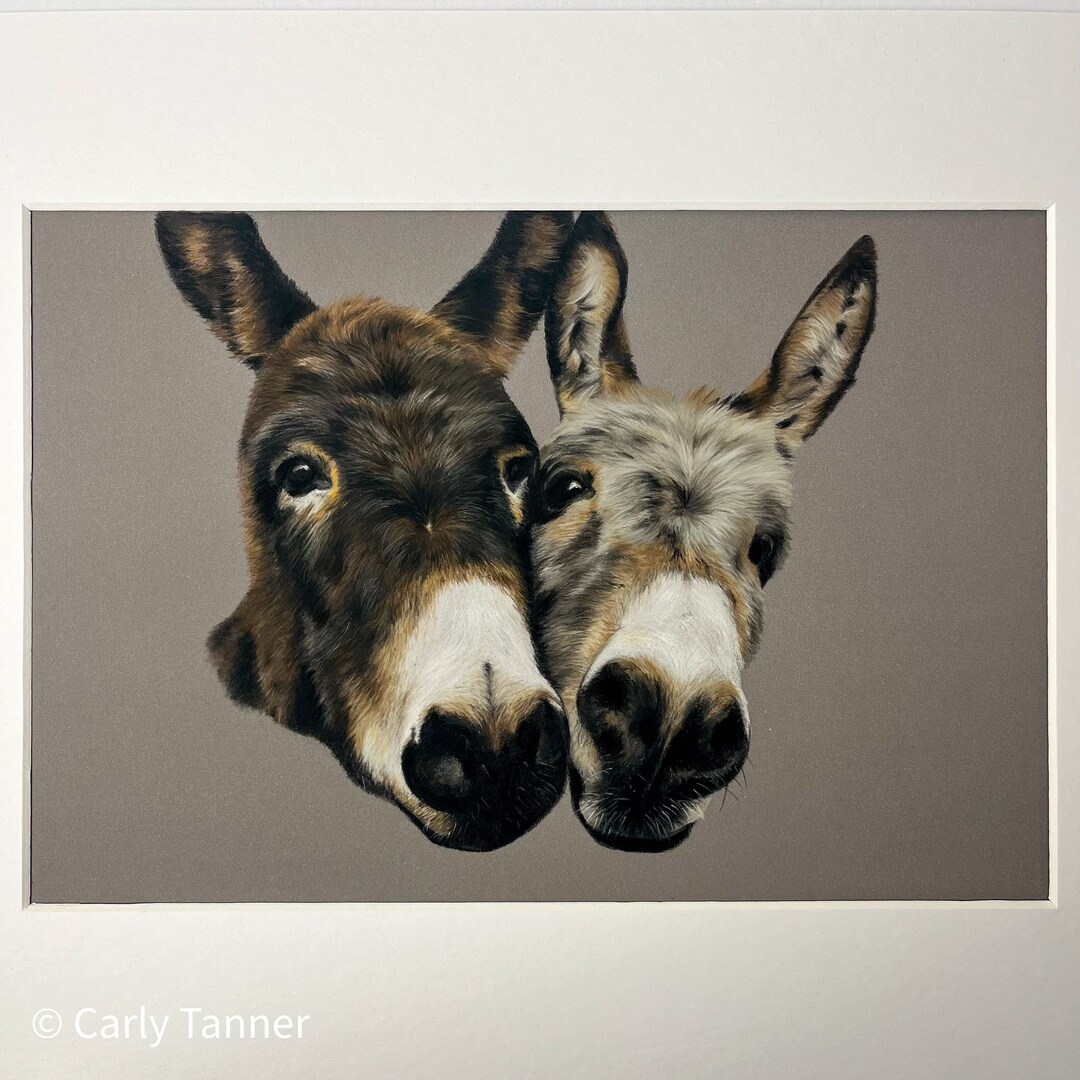 Original Donkeys Pastel Signed Art, Christmas Gift - Etsy