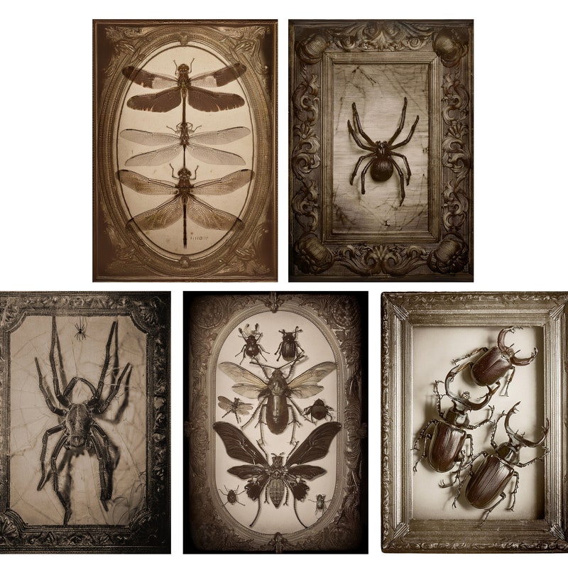 Creepy Picture Frames - Etsy