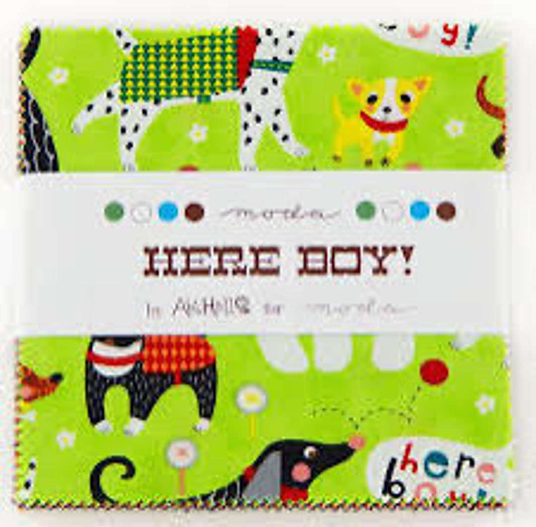 Here Boy by Abi Hall for Moda Charm Pack OOP, Hard to Find - Etsy