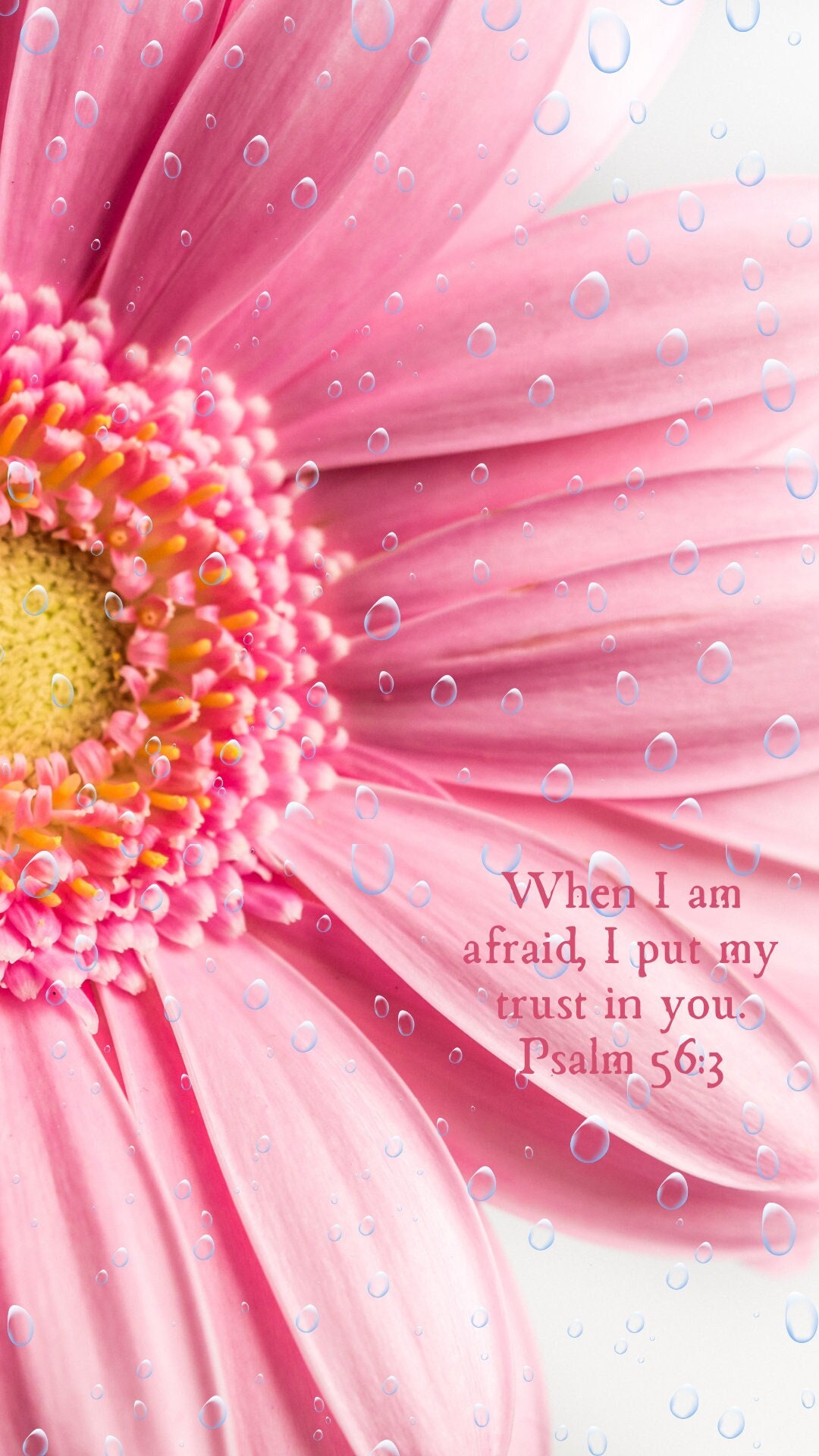 12 Scripture Phone Wallpapers for Jehovah's People - Etsy