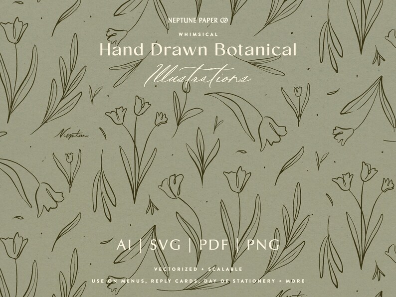 Hand Drawn Vintage Style Botanical Illustrations - Etsy
