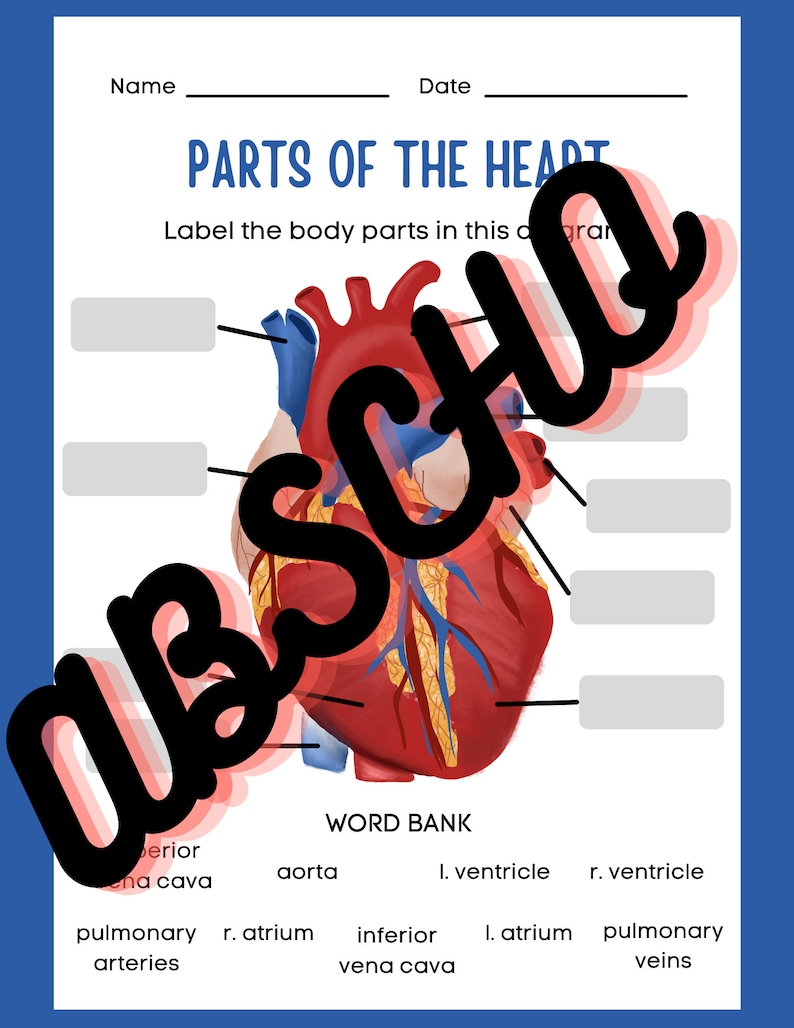 The Heart Labeling Diagram for Kids Parts of the Heart - Etsy