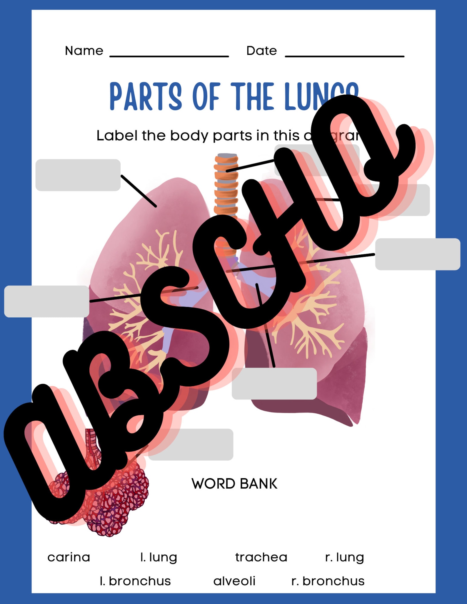 The Lungs Labeling Diagram for Kids Parts of the Lungs - Etsy