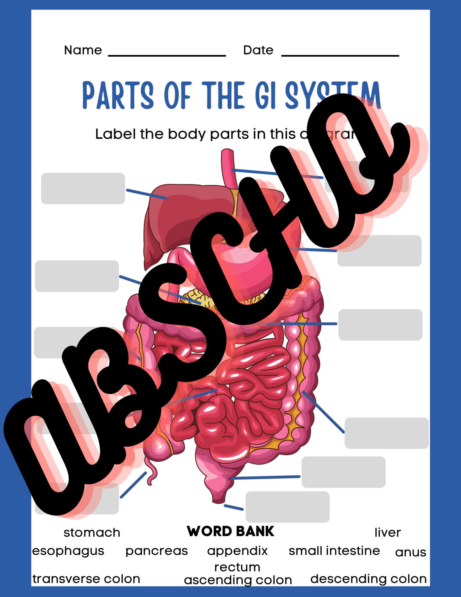 The GI System Labeling Diagram for Kids Parts of the Gastrointestinal ...