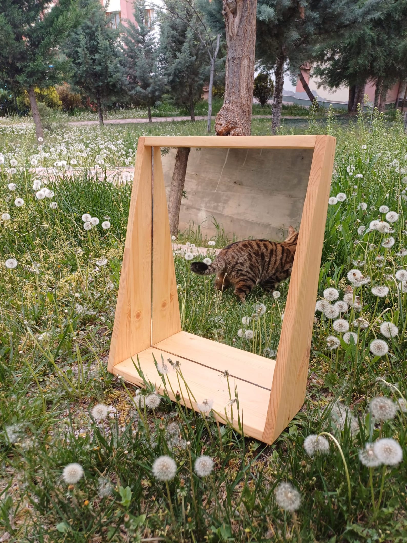 Natural Wooden Mirror, Rectangular Mirror - Etsy