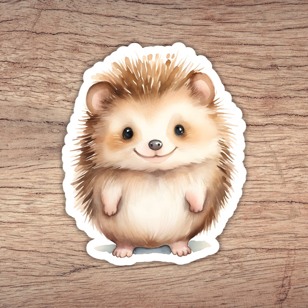 Cute Hedgehog Sticker Animal Sticker Hedgehog Art Woodland Sticker Pet ...
