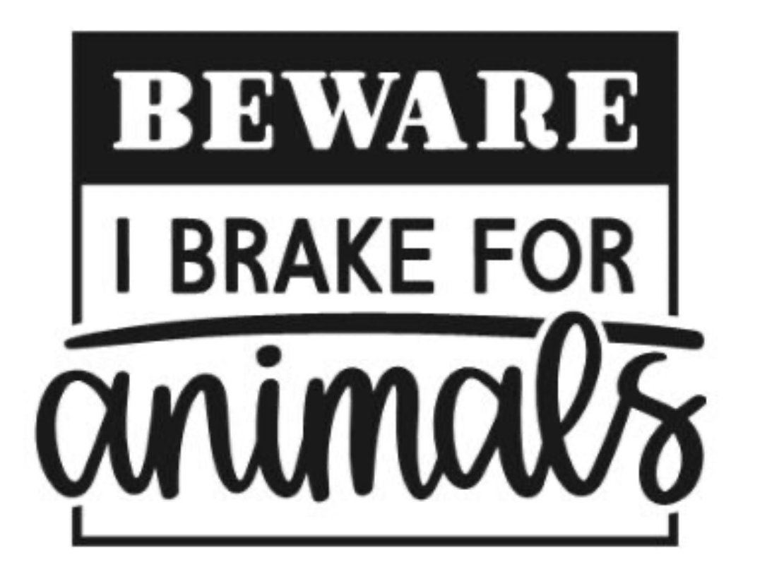 Beware I Brake for Animals - Etsy