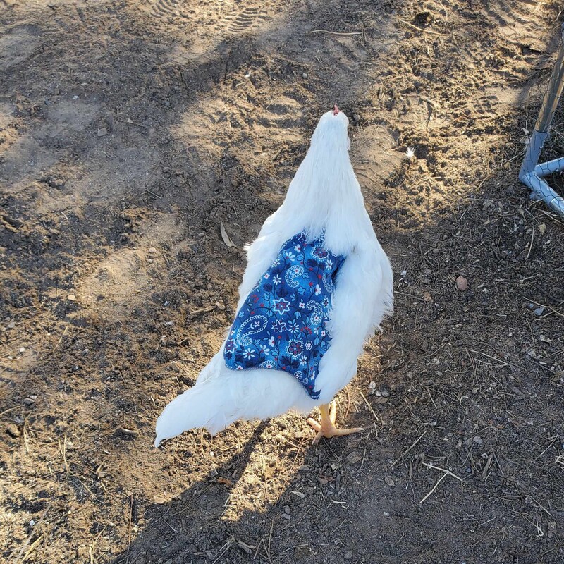 Chicken Saddle - Etsy