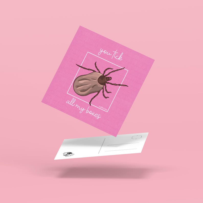 Funny Bug Valentines Day Greeting Cards, Gift for Entomology ...
