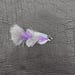 Micro Gamechanger Streamer ( Rainbow Smelt Laser Variant ) - Etsy