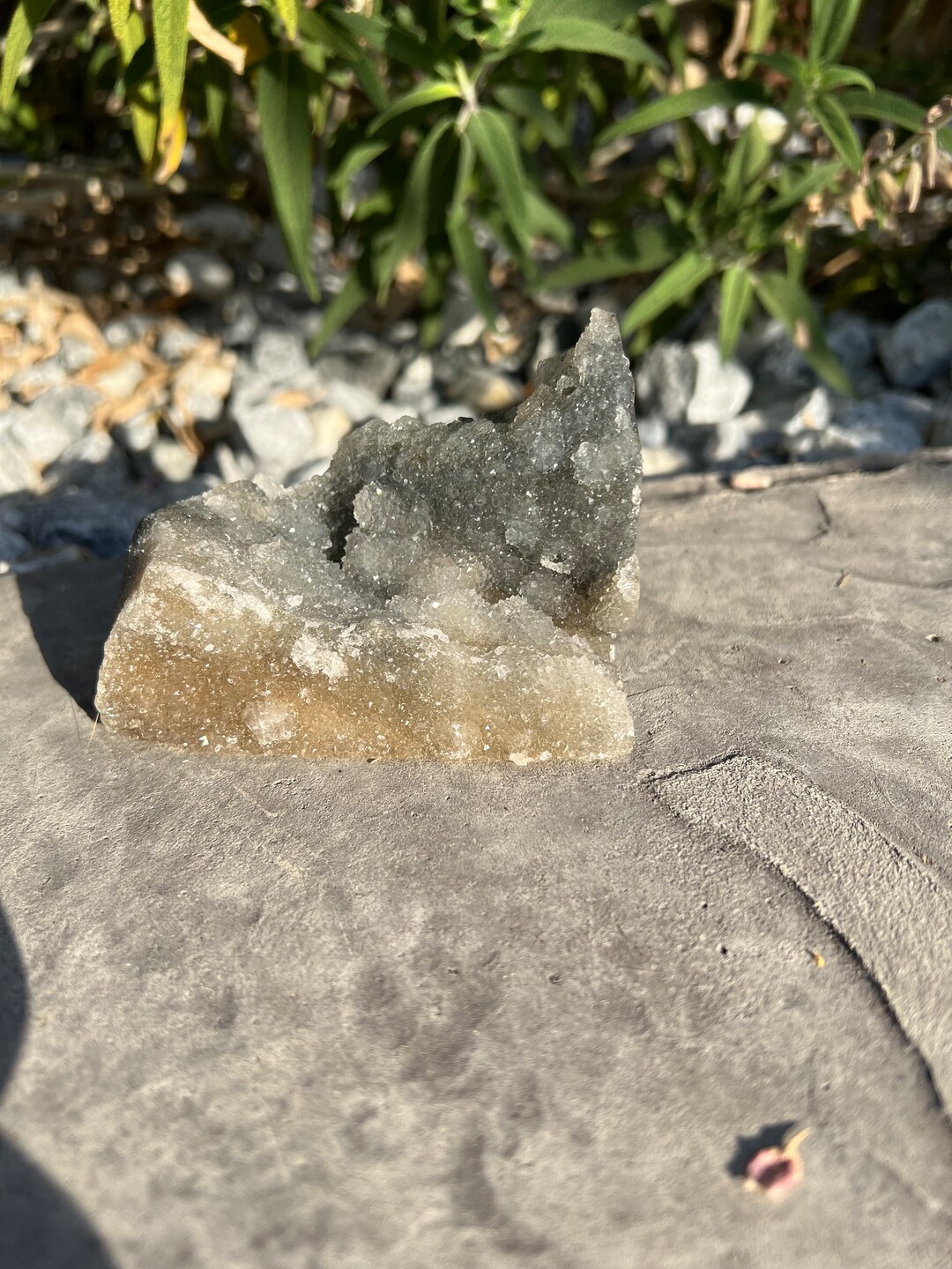 Green Sugar Druzy Quartz Geode - Etsy