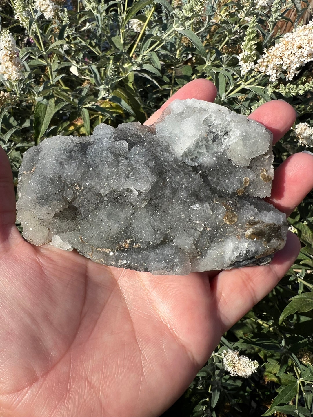 Green Sugar Druzy Quartz Geode - Etsy