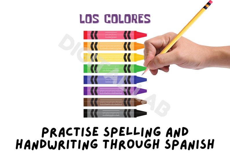 Simple Spanish KS1 KS2 Printable Worksheets, Digital Vocab Cards ...