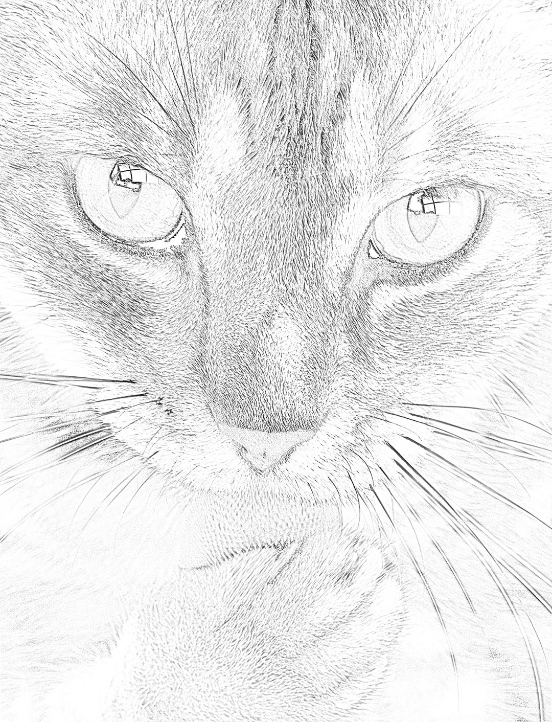 Feline Fancy: Stylish Cat Face Templates for Purr-fect Creations - Etsy