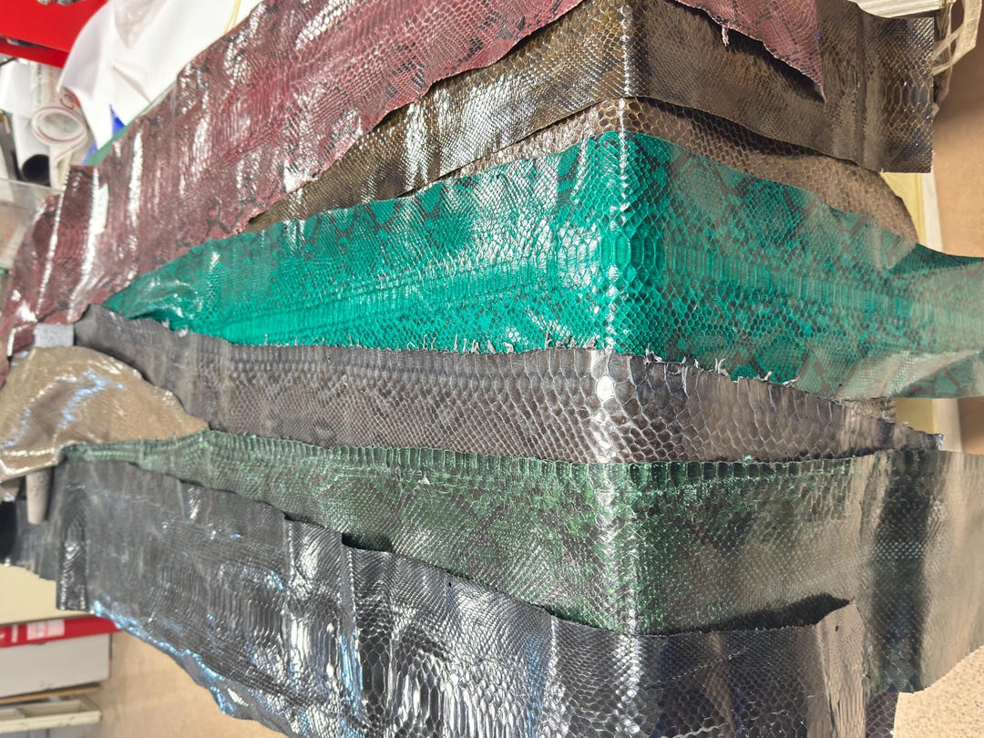 Snake Skin - Etsy