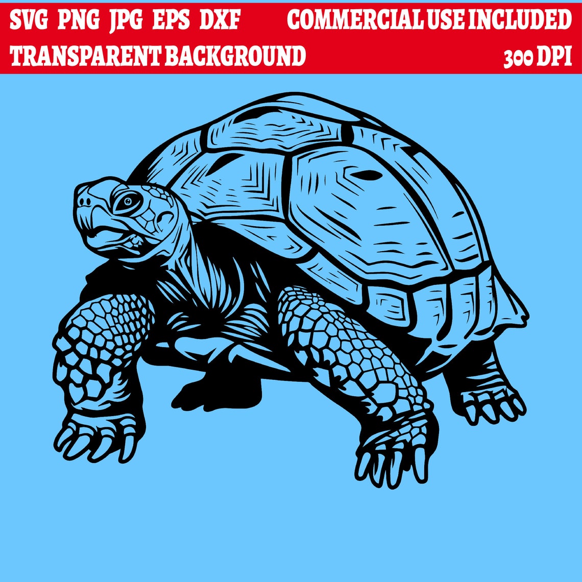 Tortoise Svg, Tortoise Clipart Svg, Tortoise Svg Files for Cricut ...