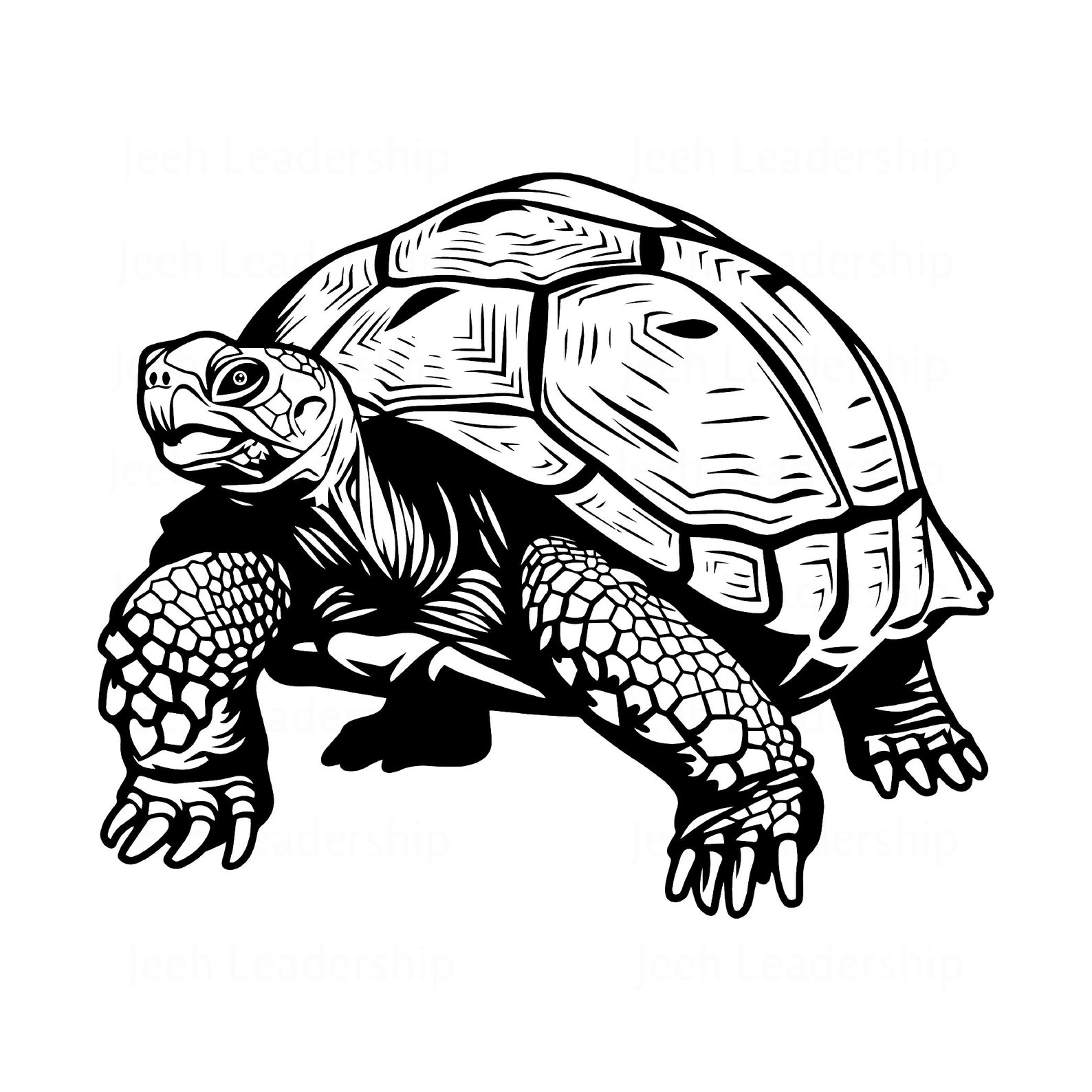 Tortoise Svg, Tortoise Clipart Svg, Tortoise Svg Files for Cricut ...