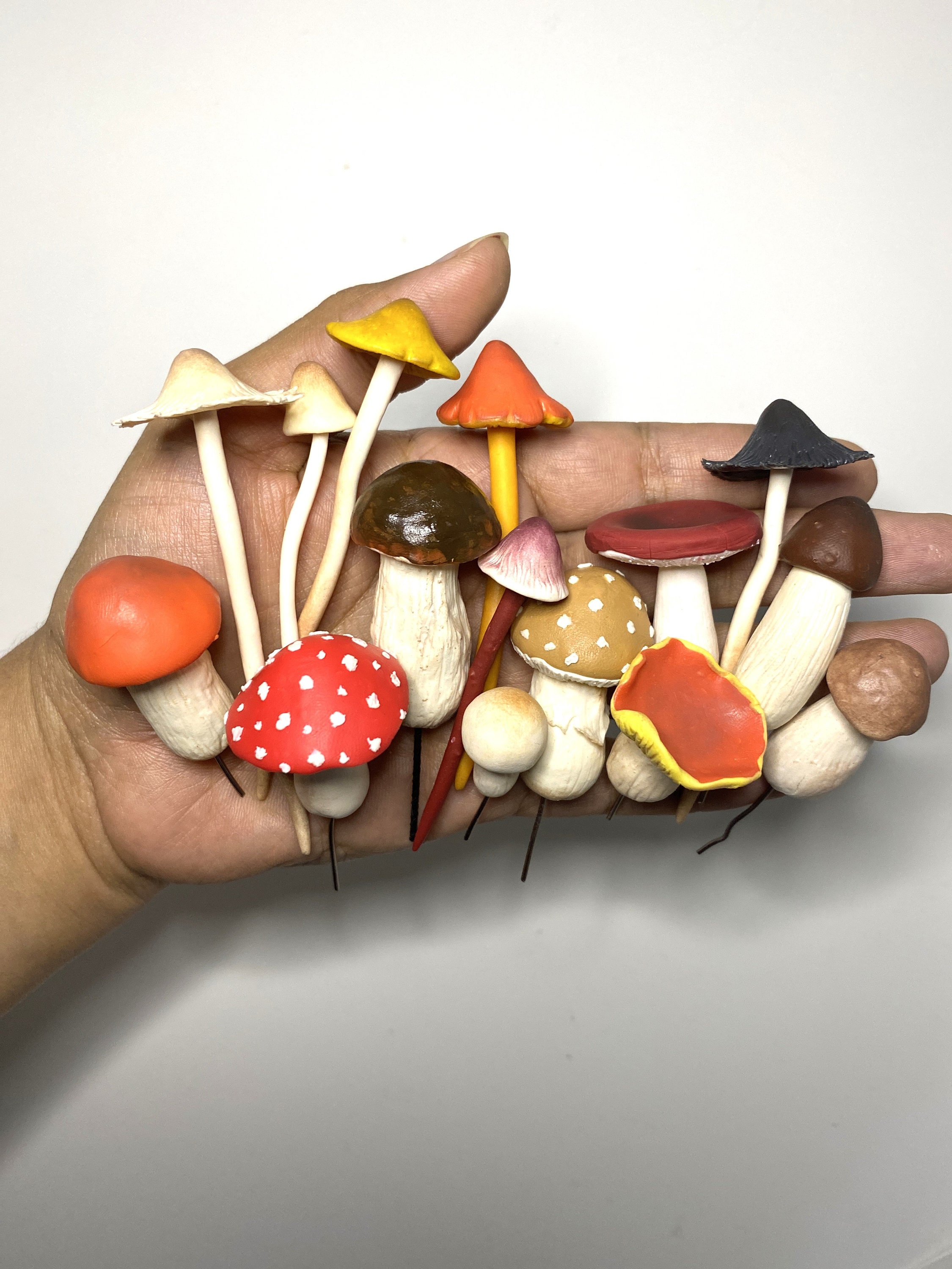 Assortment of 15 Realistic Handmade Polymer Clay Mushrooms for ...